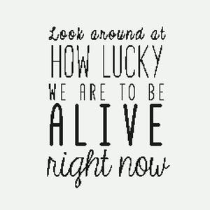 Hamilton Cross Stitch Pattern - Look Around Quote From the Broadway ...