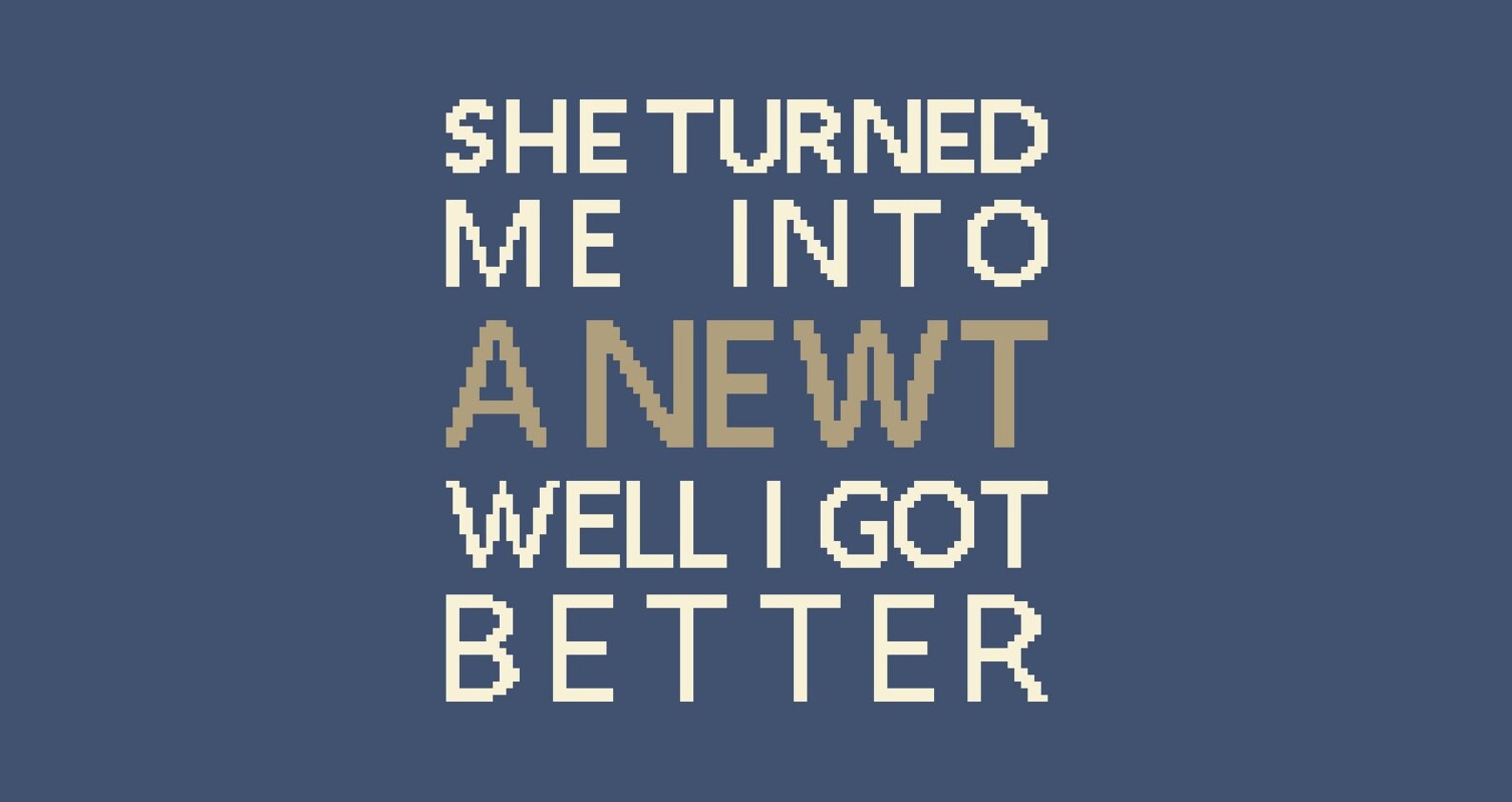 Monty Python Cross Stitch PDF Pattern A Newt Quote From the | Etsy