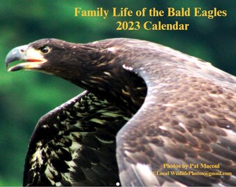 Bald Eagle Calendar - Etsy