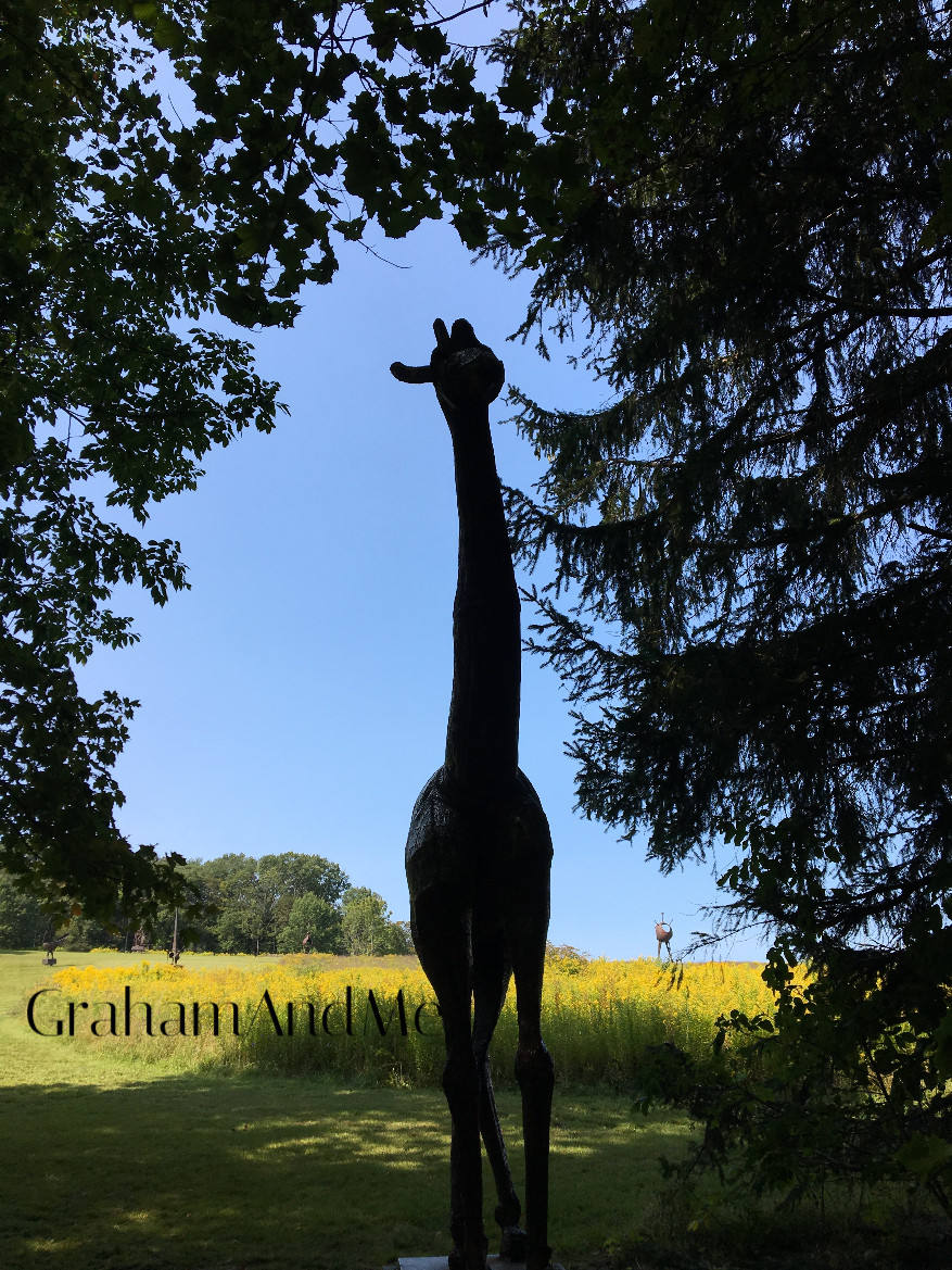 Giraffe Statue Picture - Etsy