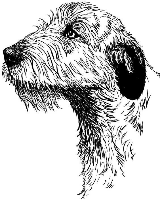 Digital Download Celtic Dogs Shepherd and Sheep Highland - Etsy