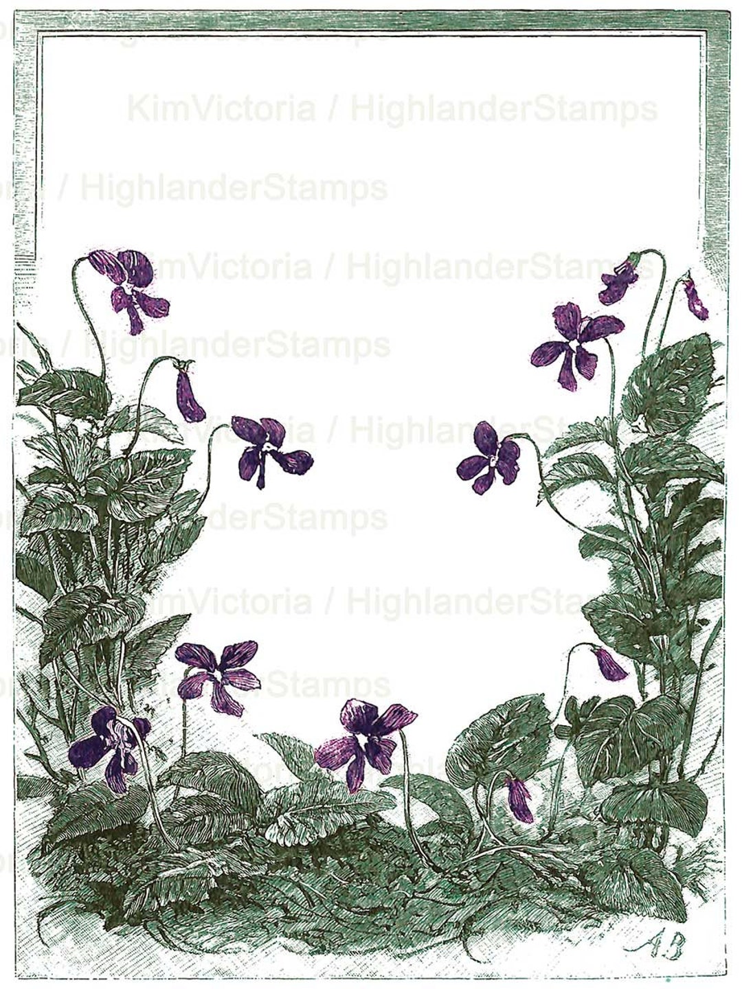 Flower Printables, Digital Download Violets Frame, Illustration, Border ...