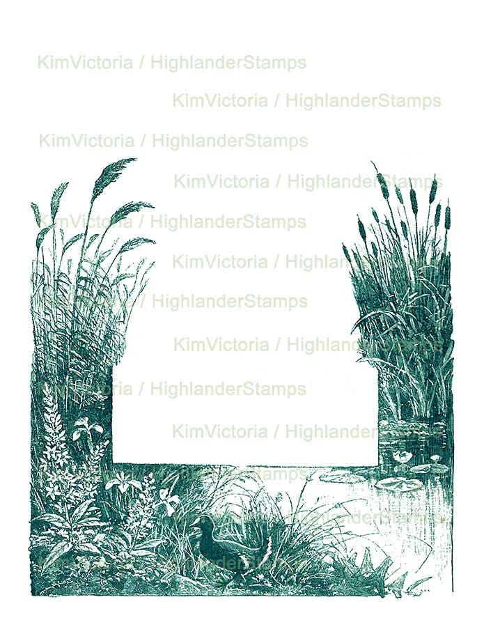 Digital Download Cattail Marsh Frames Illustration Border - Etsy