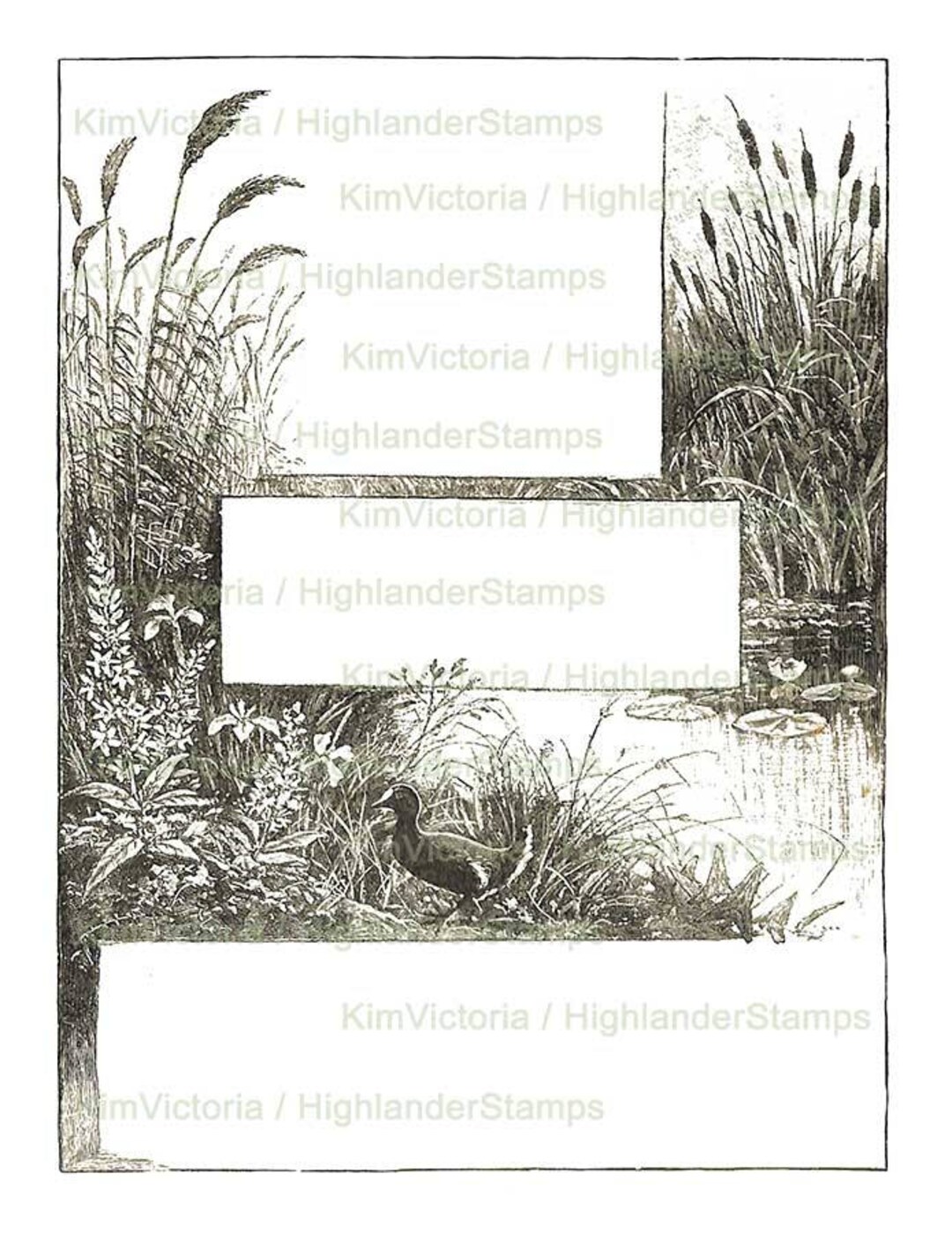 Printables, Digital Download Cattail Marsh Frames, Illustration, Border ...
