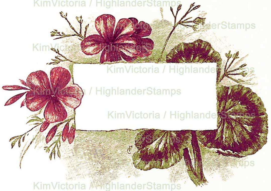 Flower Printables, Digital Download Geranium Small Frame, Illustration ...