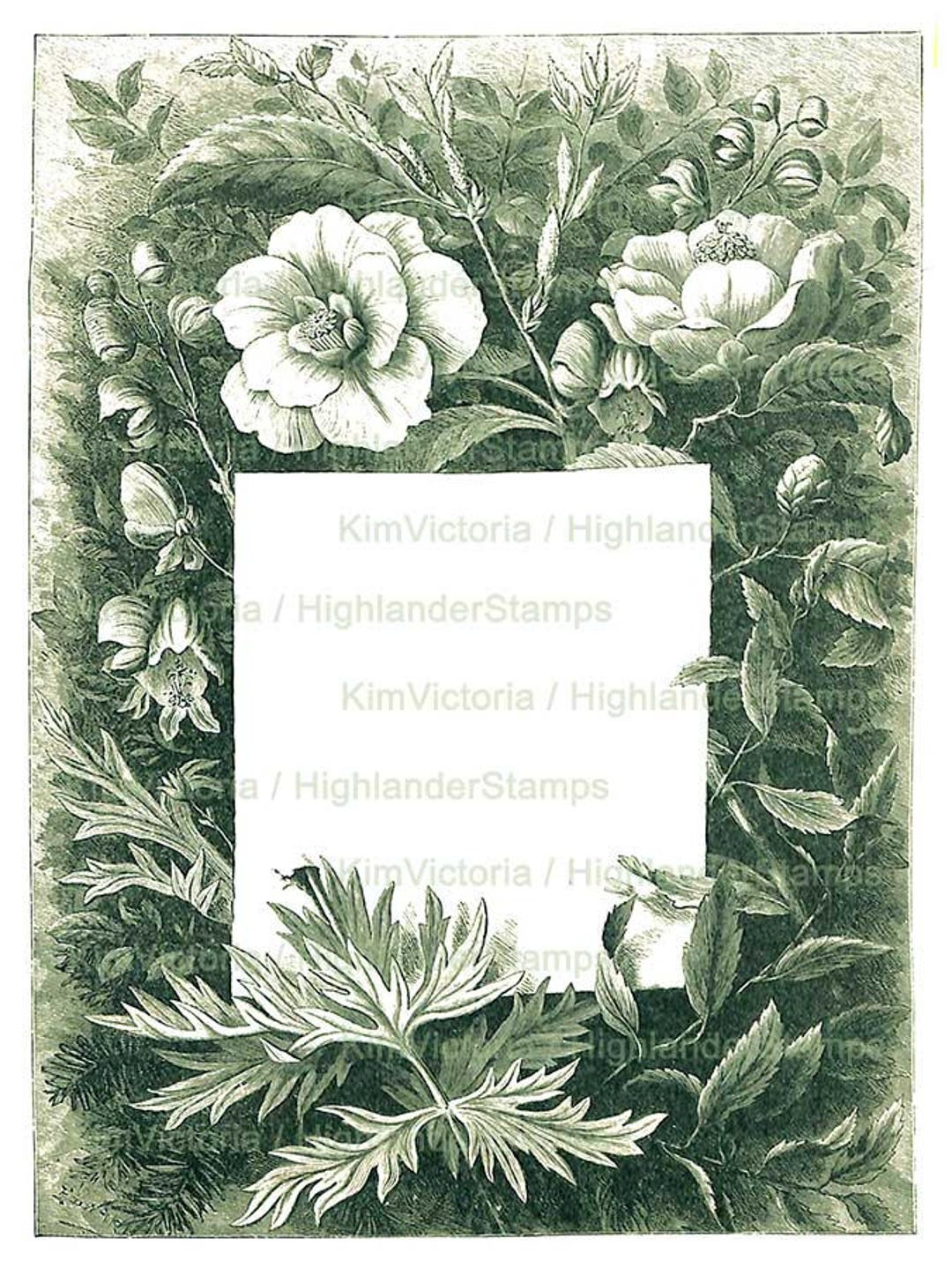 Flower Printables, Digital Download Old Rose Frame, Illustration ...