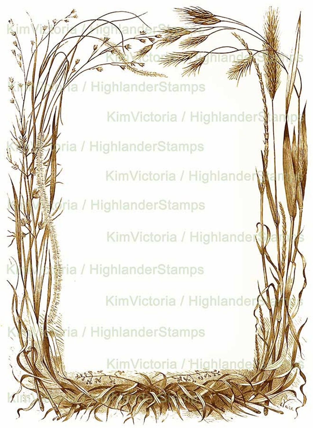 Digital Download Wild Grasses Frame Illustration Border - Etsy