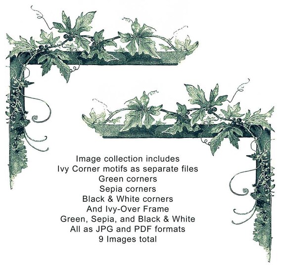 Digital Download Ivy Over Frame Collection Illustration | Etsy