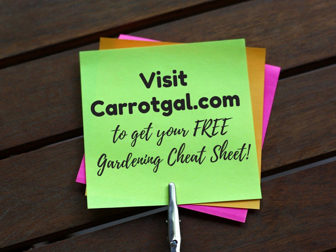 Mountain Princess Tomato Seeds Red Tomatoes Heirloom - Etsy