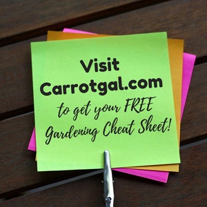 Mountain Princess Tomato Seeds Red Tomatoes, Heirloom Tomatoes, Organic ...