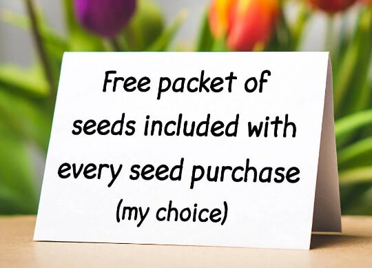 Mountain Princess Tomato Seeds Red Tomatoes Heirloom - Etsy