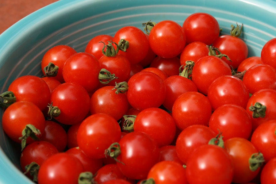 Matt's Wild Cherry Tomato Seeds Indeterminate, Heirloom Tomato, Organic ...