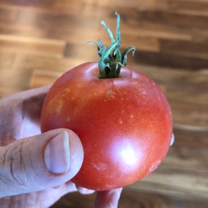 Mountain Princess Tomato Seeds Red Tomatoes, Heirloom Tomatoes, Organic ...