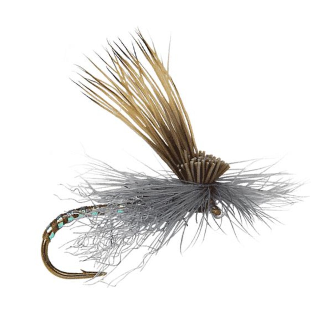 Missing Link Caddis - Dry Flies for Trout Fly Fishing - Etsy