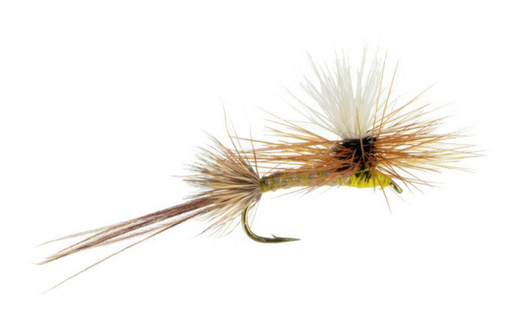 Roberts Yellow Drake Dry Flies for Trout Fly Fishing - Etsy