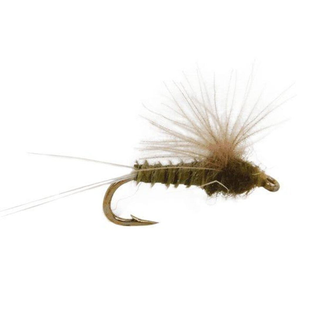 CDC Biot Compara-dun BWO - Dry Flies for Trout Fly Fishing - Etsy