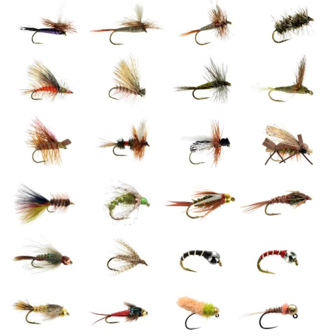 24 Dry Fly / Nymph Fly Pack Fly Assortments for Fly Fishing - Etsy