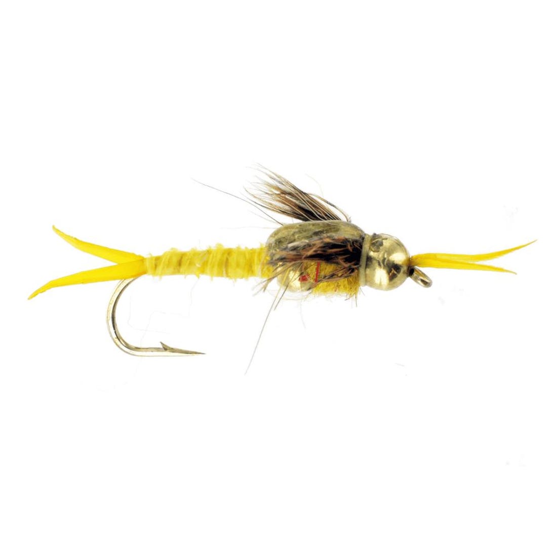 Double Tungsten Epoxy Stonefly - Nymph Flies for Trout Fly Fishing - Etsy