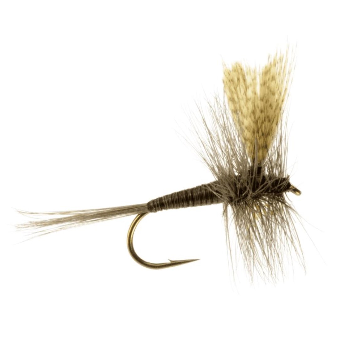 Quill Gordon - Dry Flies for Trout Fly Fishing - Etsy