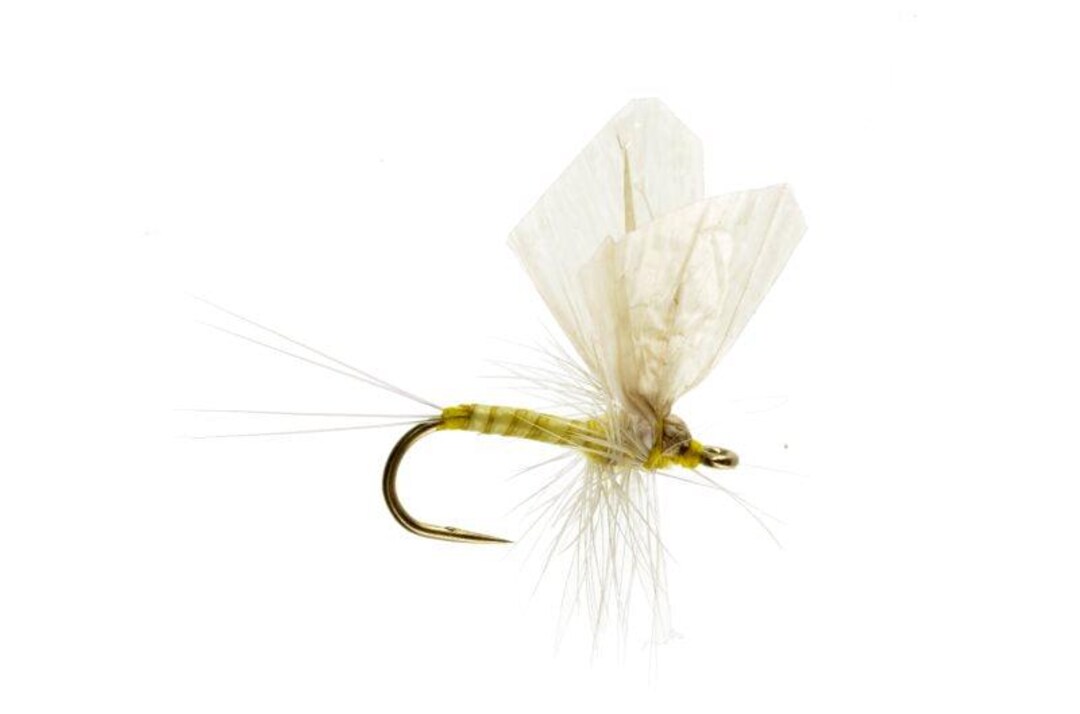 Hackle Dun PMD - Dry Flies for Trout Fly Fishing - Etsy