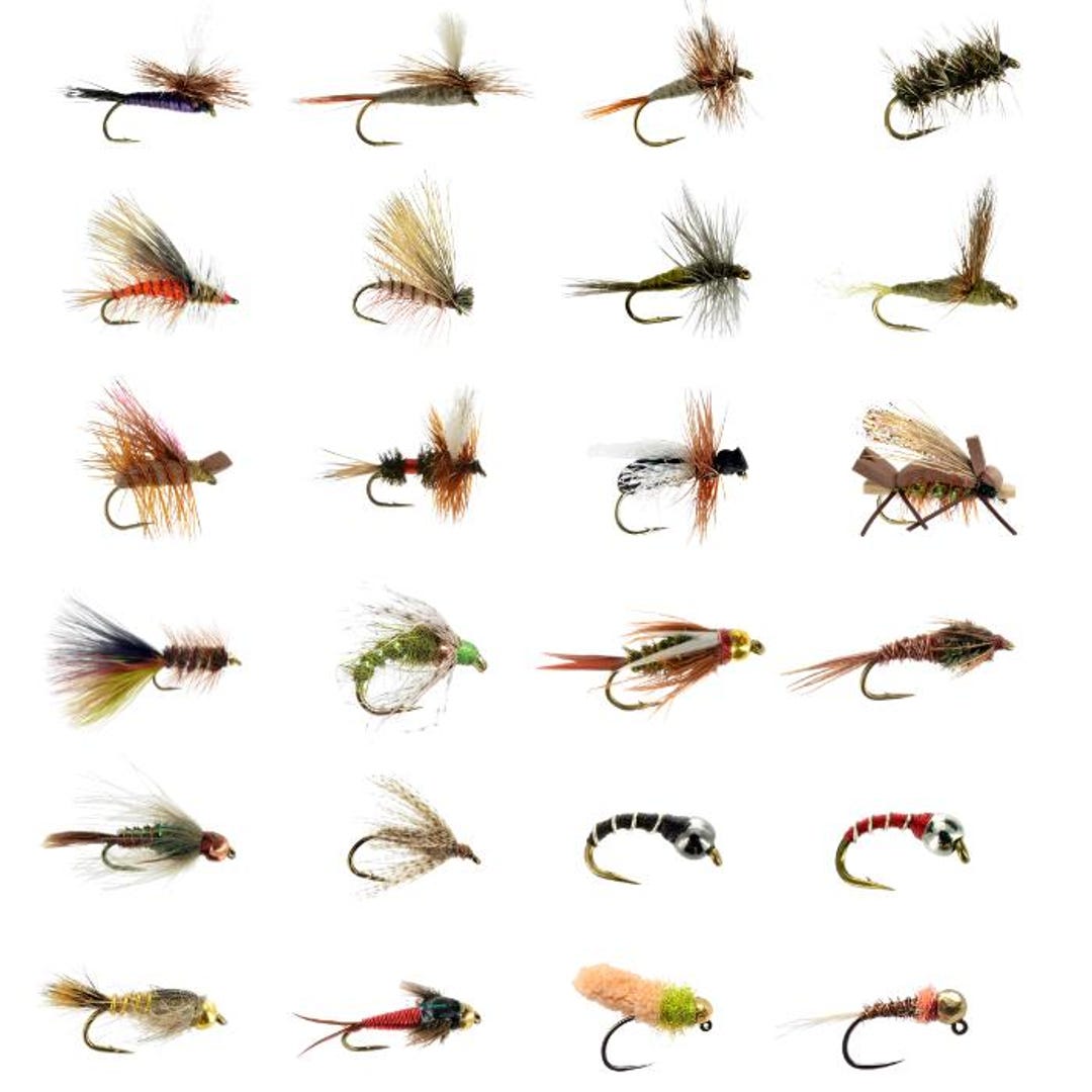 24 Dry Fly / Nymph Fly Pack - Fly Assortments for Fly Fishing - Etsy