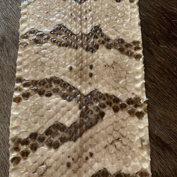 Rattlesnake Skin - Etsy