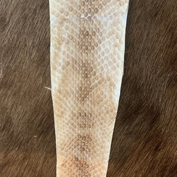 Rattlesnake Skin Shed - Etsy