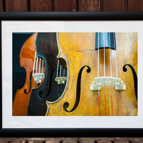 Double Bass - Etsy