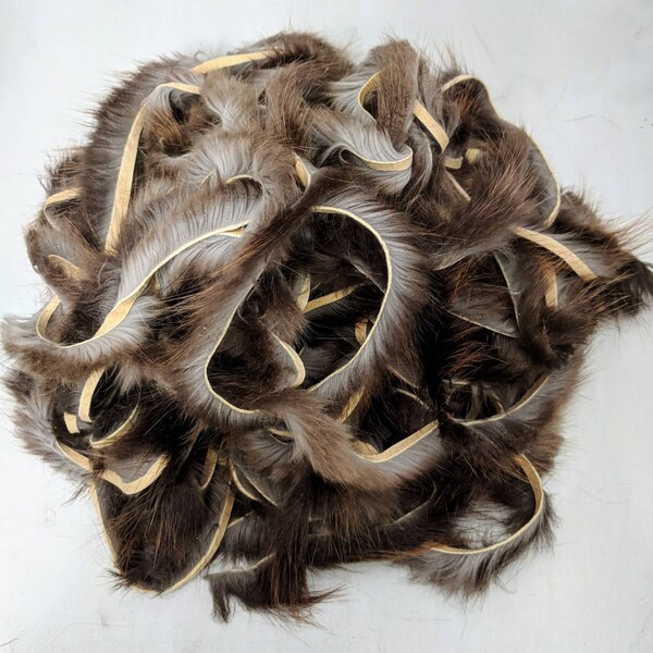 Beaver Fur - Etsy