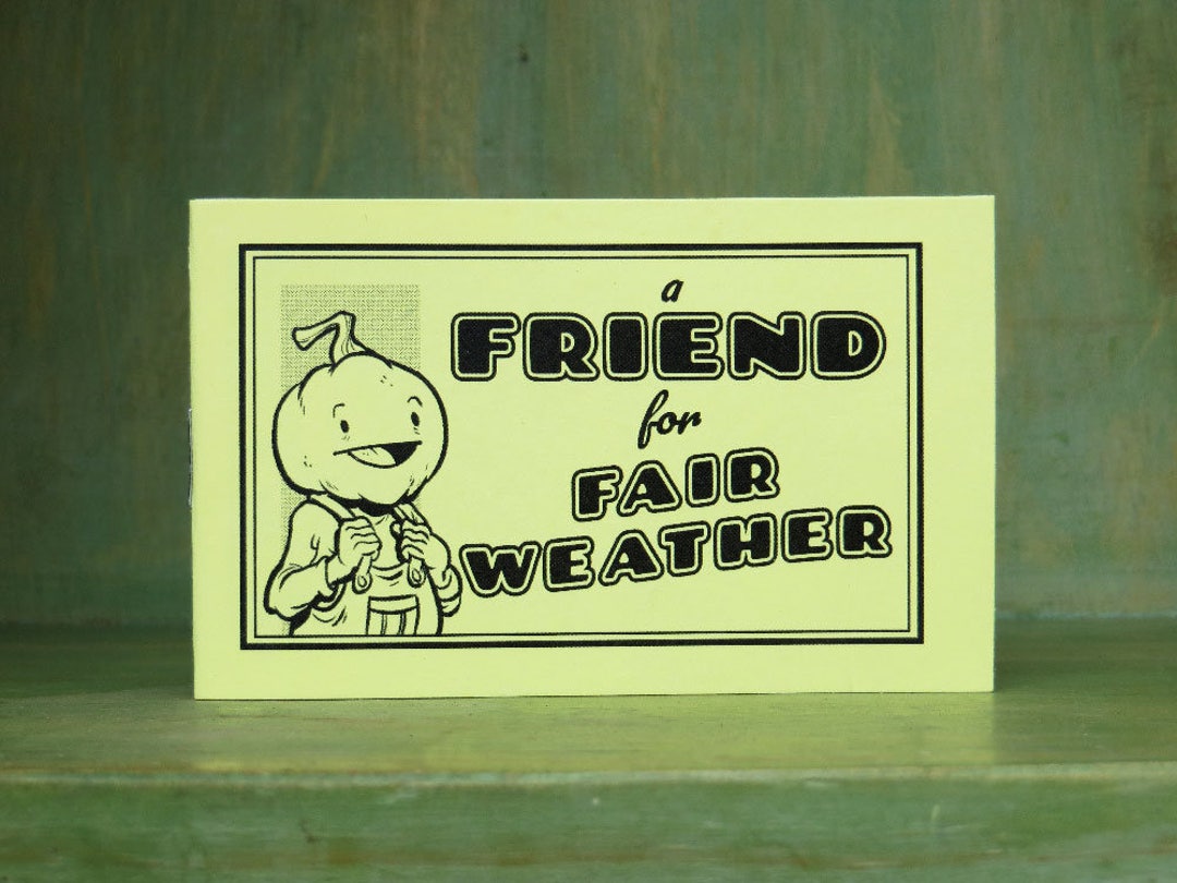 A Friend for Fair Weather Minicomic - Etsy
