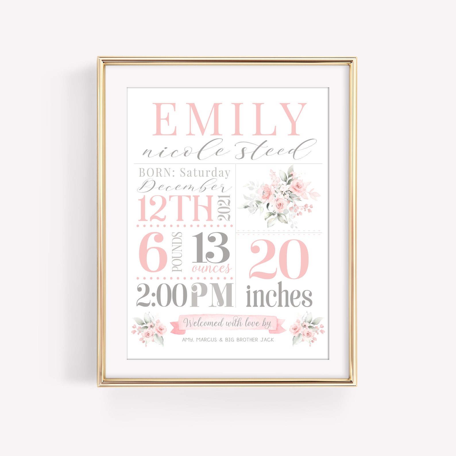 Girl Baby Stats Sign Nursery Stats Wall Art Birth - Etsy Canada