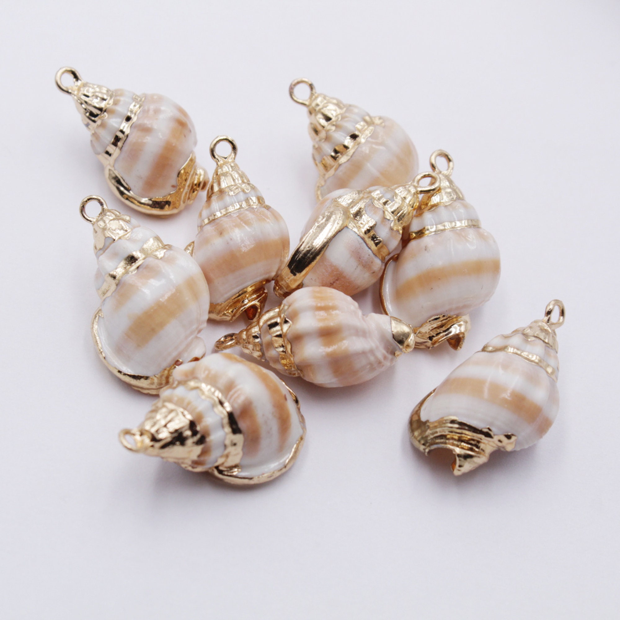 10pcs Natural Sea Shell Charms gold plated Sea Shell Conch | Etsy