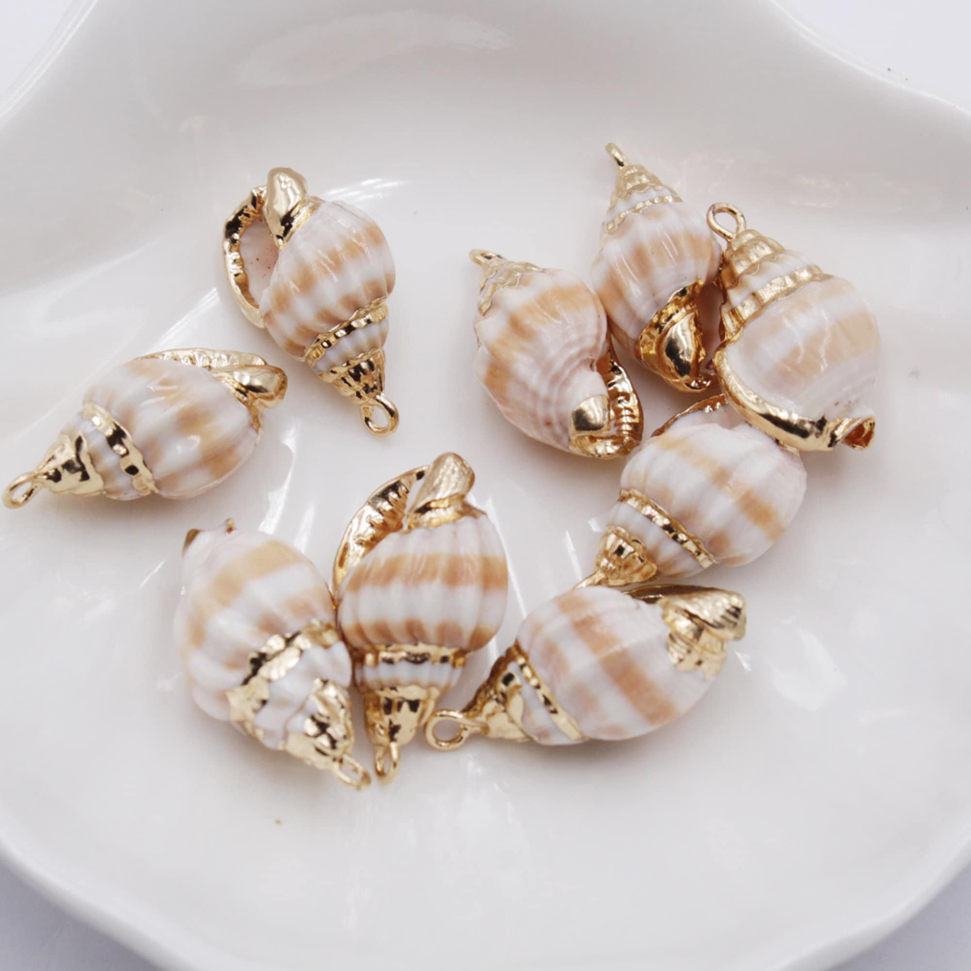 10pcs Natural Sea Shell Charms gold plated Sea Shell Conch | Etsy