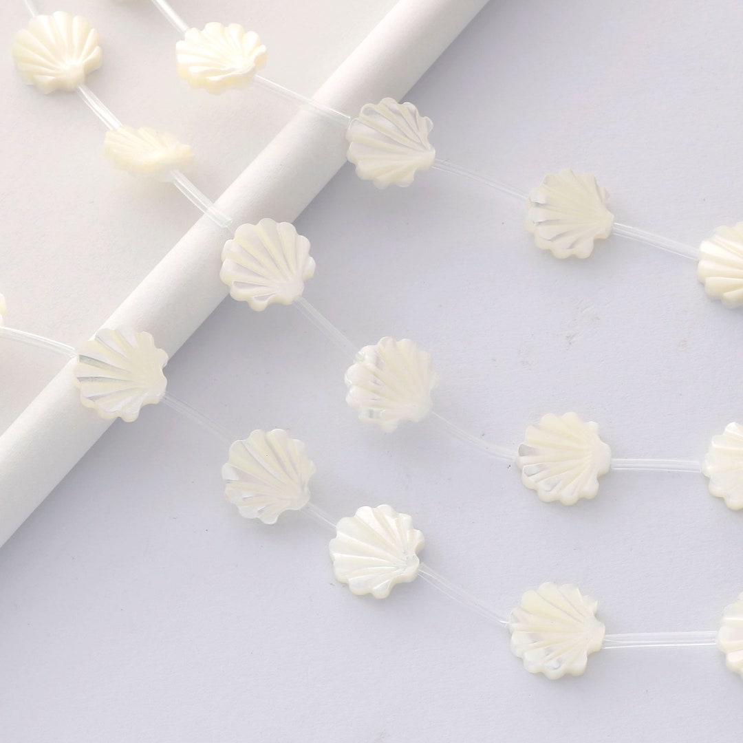 6PCS Natural Shell Charm, Scallop Shell Beads - Etsy