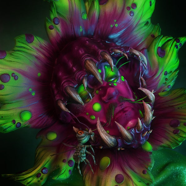 Venus Flytrap - Etsy