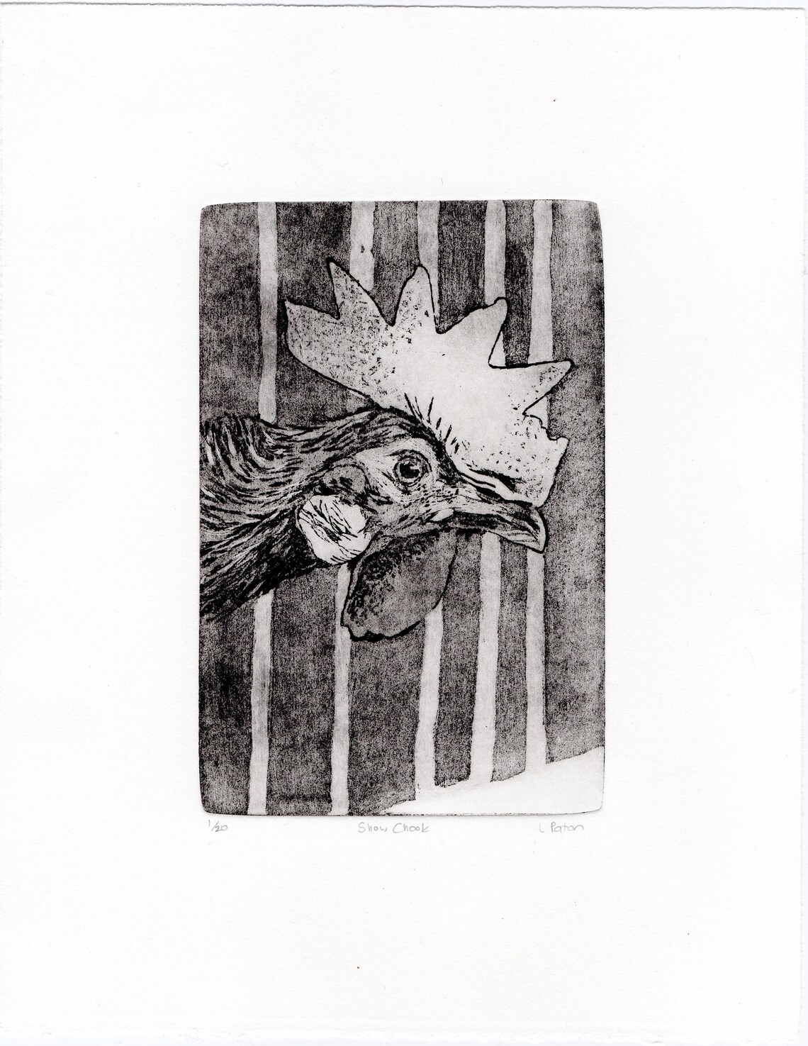 Show Chook - Limited Edition Print - Handmade Etching - Etsy Australia