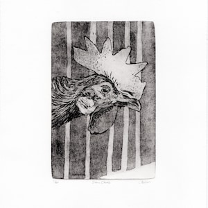 Show Chook - Limited Edition Print - Handmade Etching - Etsy