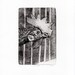 Show Chook - Limited Edition Print - Handmade Etching - Etsy
