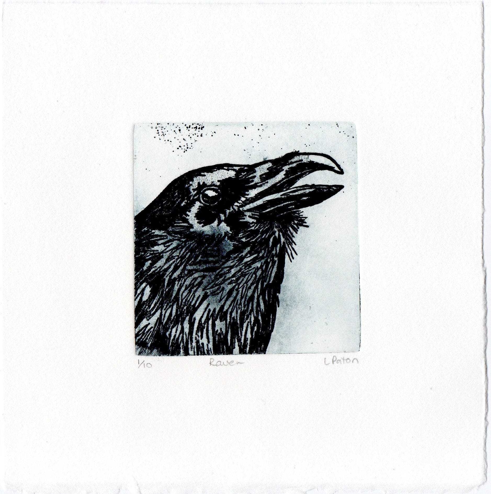 Raven - Etsy