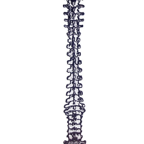 Patches for Jackets - Etsy