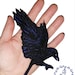 Crow, Embroidered Iron on Patch - Etsy