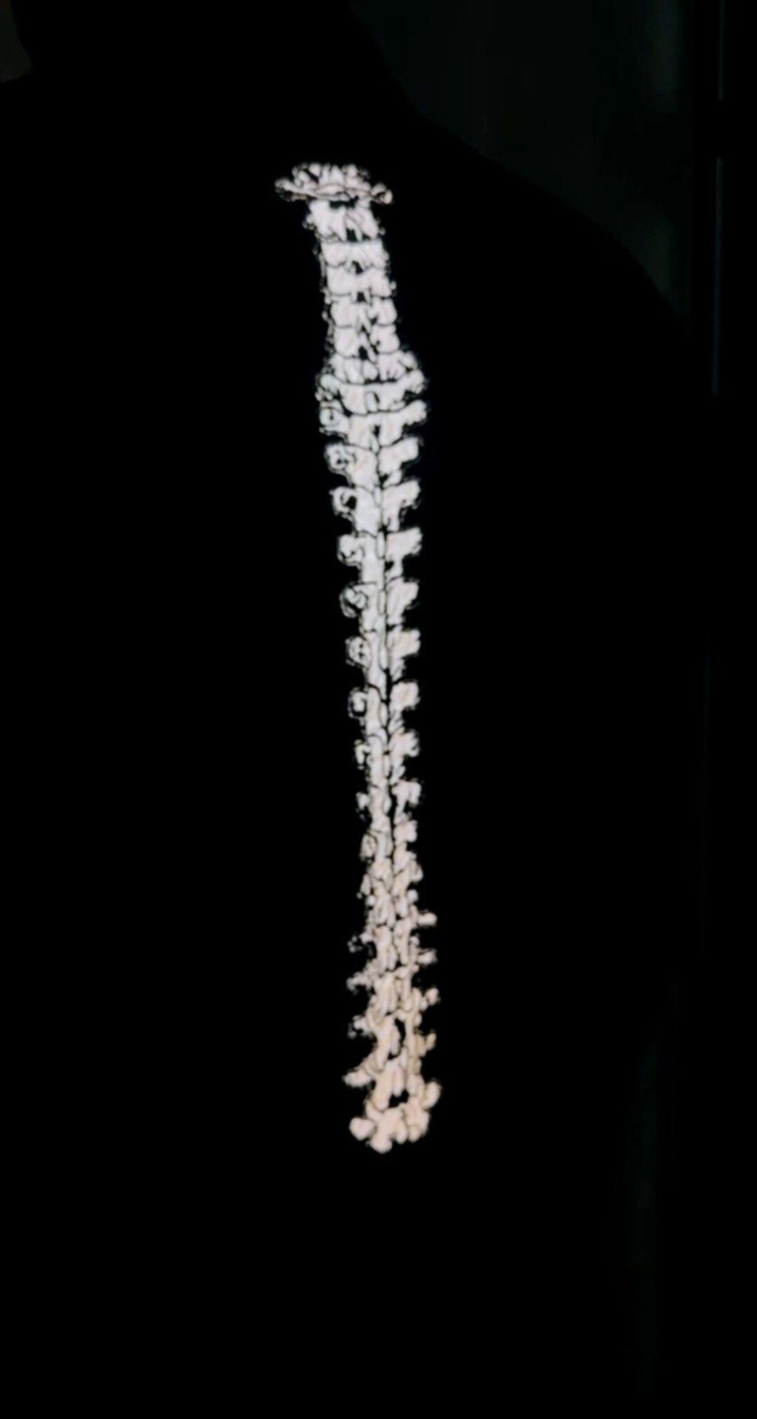 Spine Back Patch Patch Bone Glow in the Dark Reflective Iron-on Patch ...