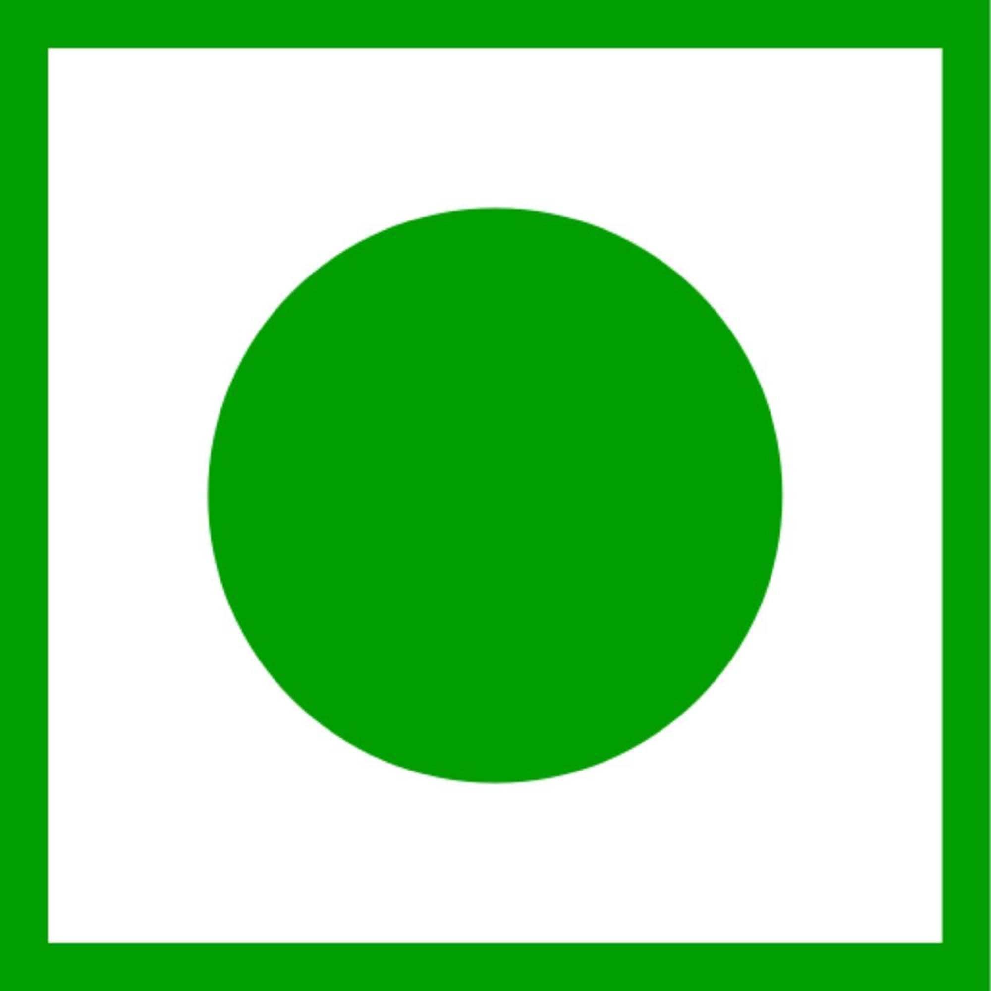 Vidanga Seeds-embelia Ribes-raw Herbs-ribes Baibadang - Etsy UK