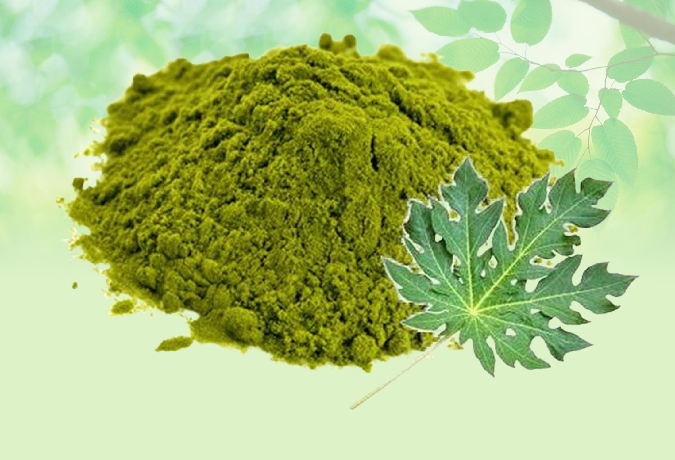 Papaya Leaf Powder-papayapan Churna-papaya Powder-raw Herb-papita ...