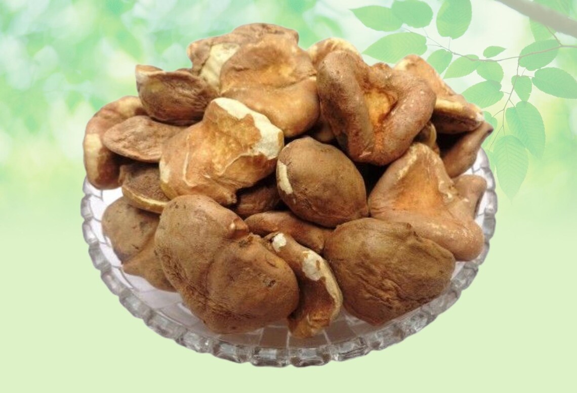 Dried Singhara-trapa Bispinosa-paniphal-sookhasinghade-jalfal-dry ...