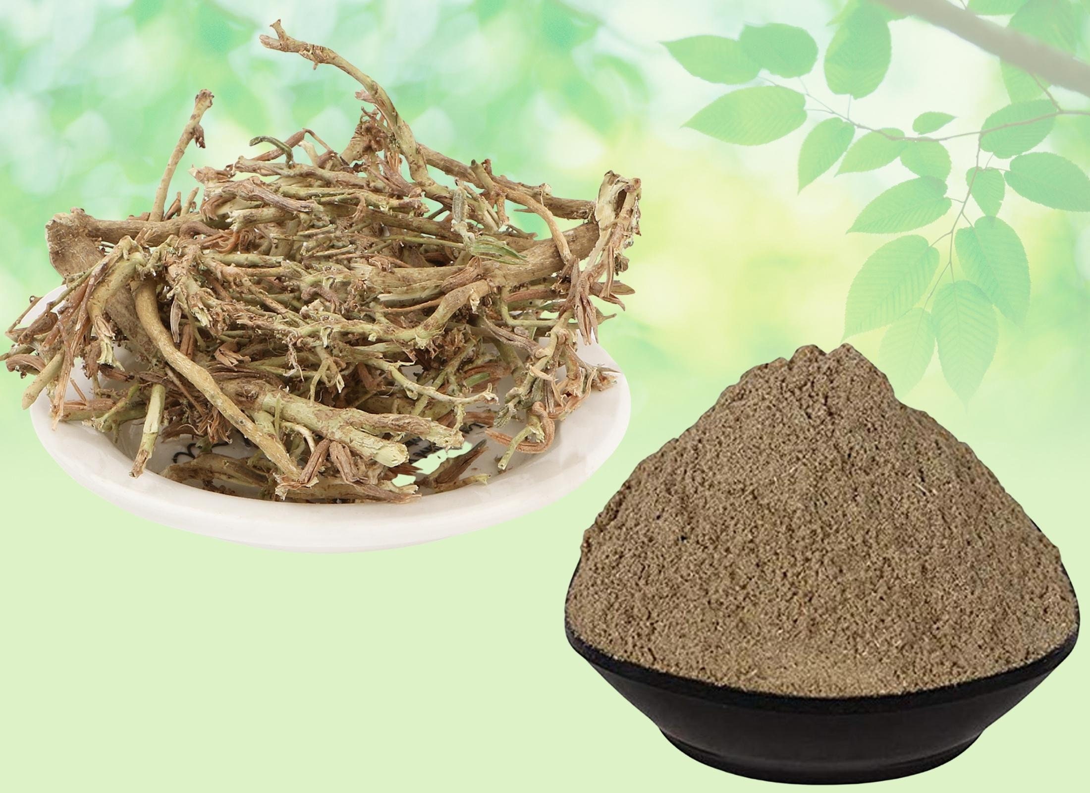 Kurand Ghas Powder Bahufali raw Herbs-khurand Grass Powder-single Herbs ...