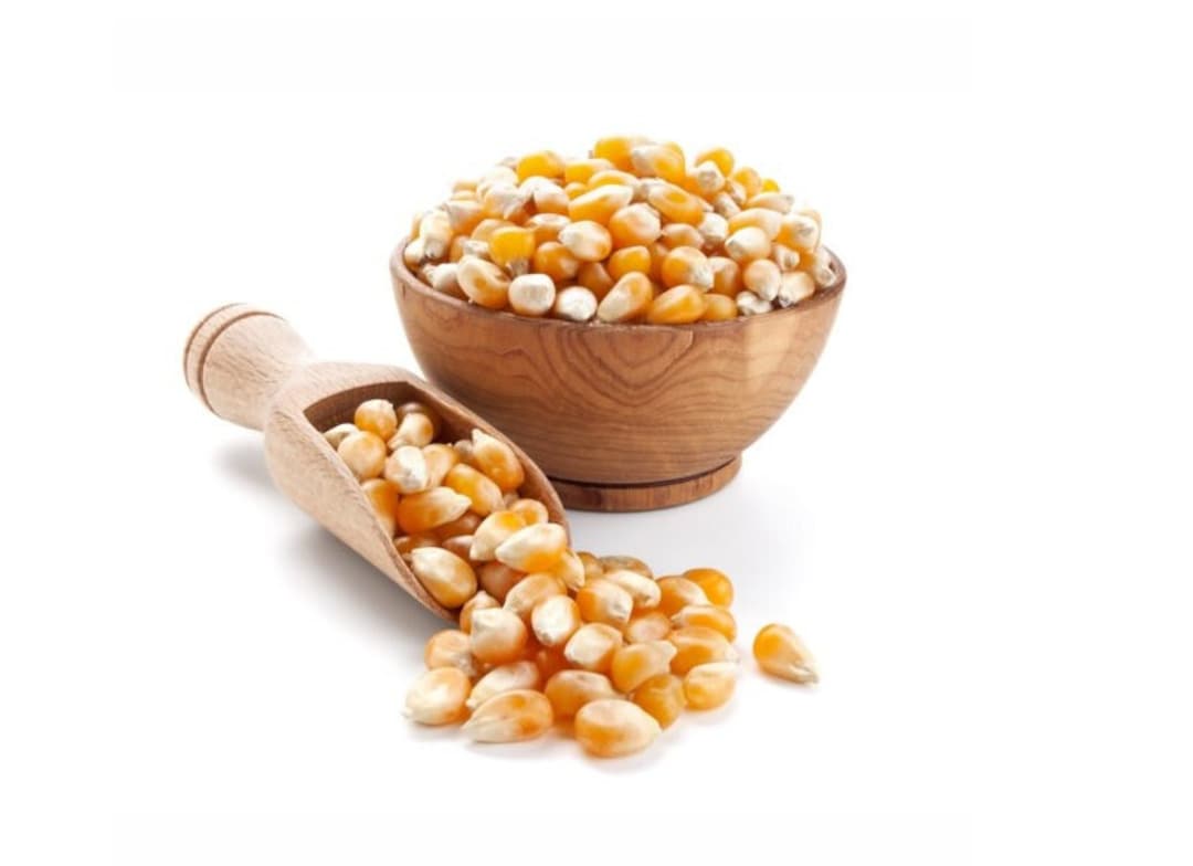 Makai Dana-corn Kernels-makki Dana-grocery - Etsy