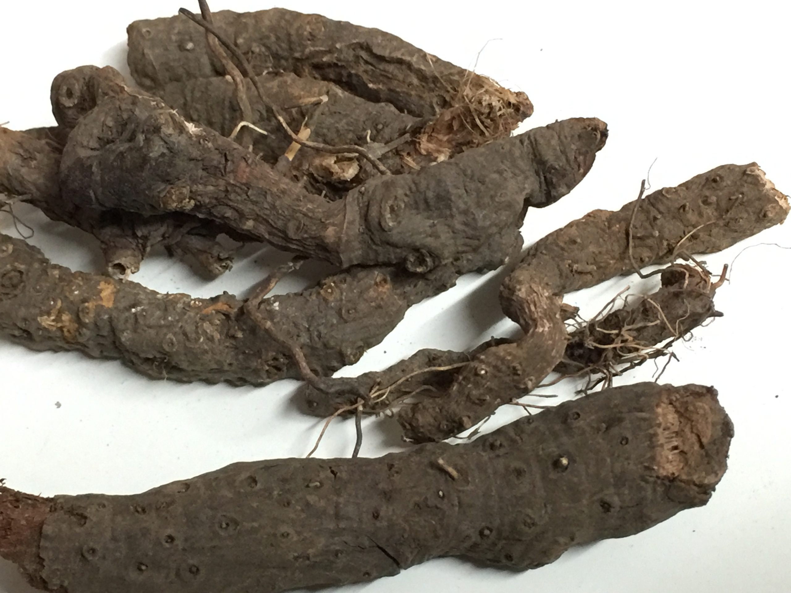 Anjbar-anjwar-raw Herbs-jadi Booti-single Herbs - Etsy UK