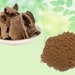 Bharangi Chaal Powder-bharangi Chaal-baranghi Chaal-bhadangi Bark ...