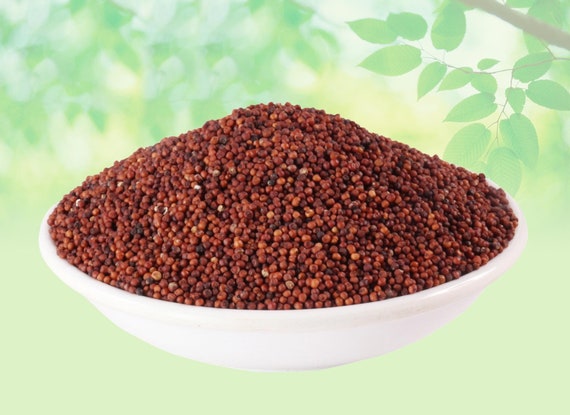 Ragi Seeds-finger Millet Seeds-raw Herbs-raagi-jadi - Etsy